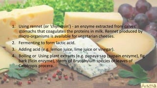 Cheese making | PPTX