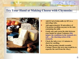 The Art of Cheesemaking | PPT