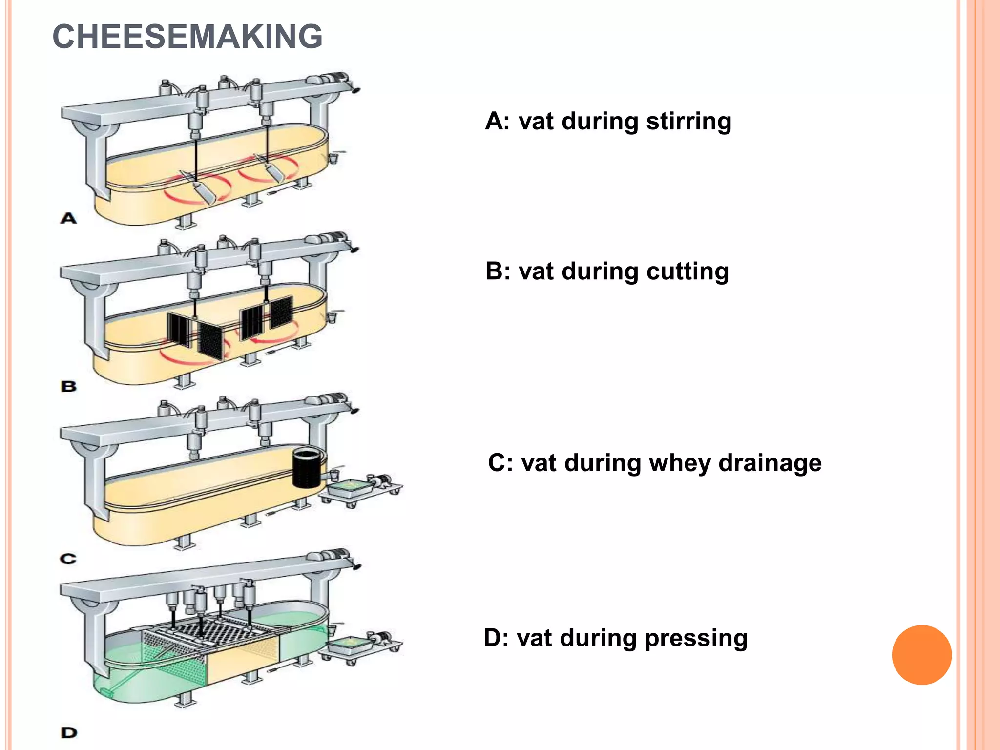 Cheese production | PPTX