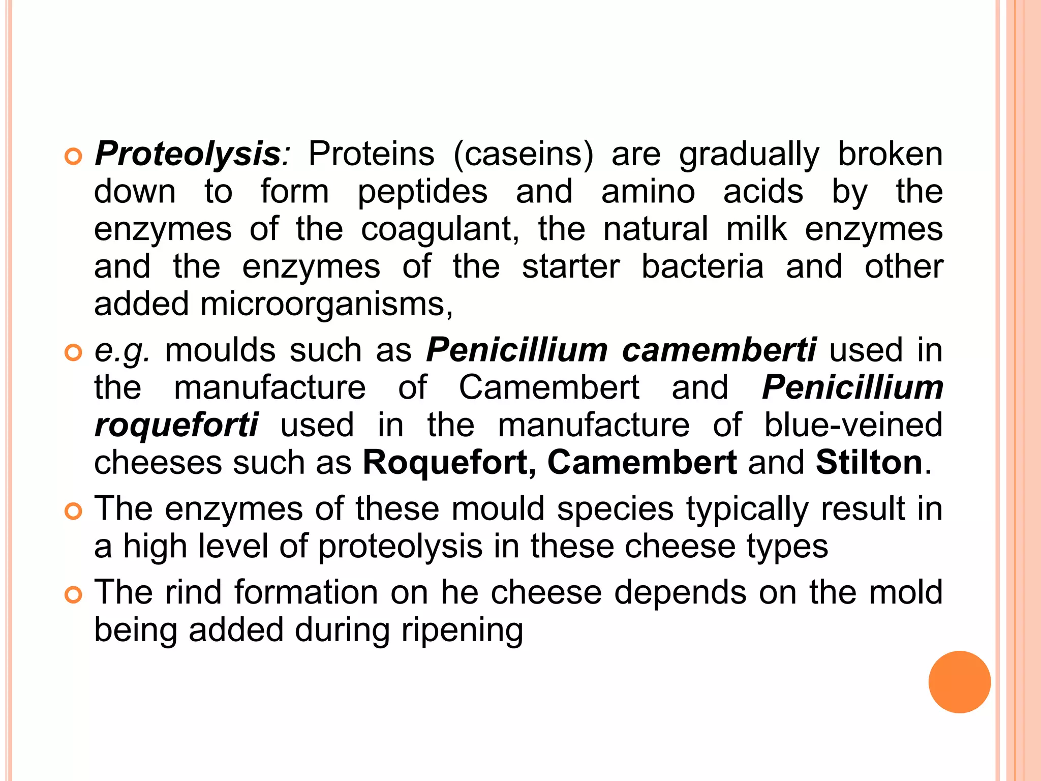 Cheese production | PPTX