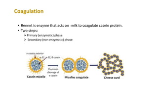 Cheese production | PPTX