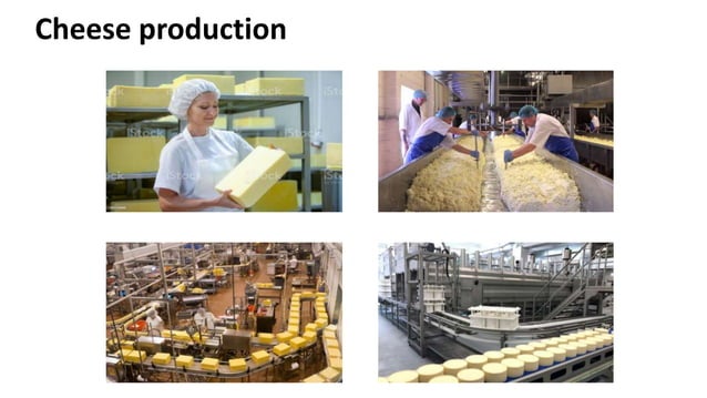 Cheese production | PPT