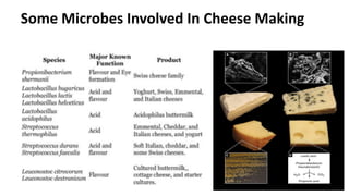 Cheese production | PPTX