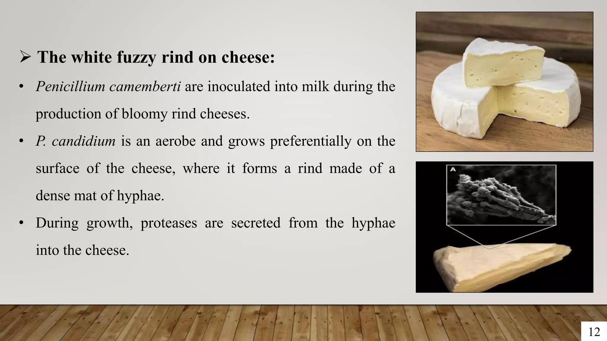 Cheese Production Process | PPTX