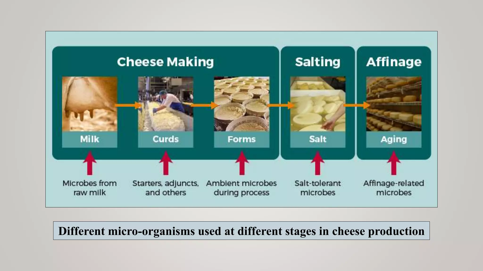 Cheese Production Process | PPTX