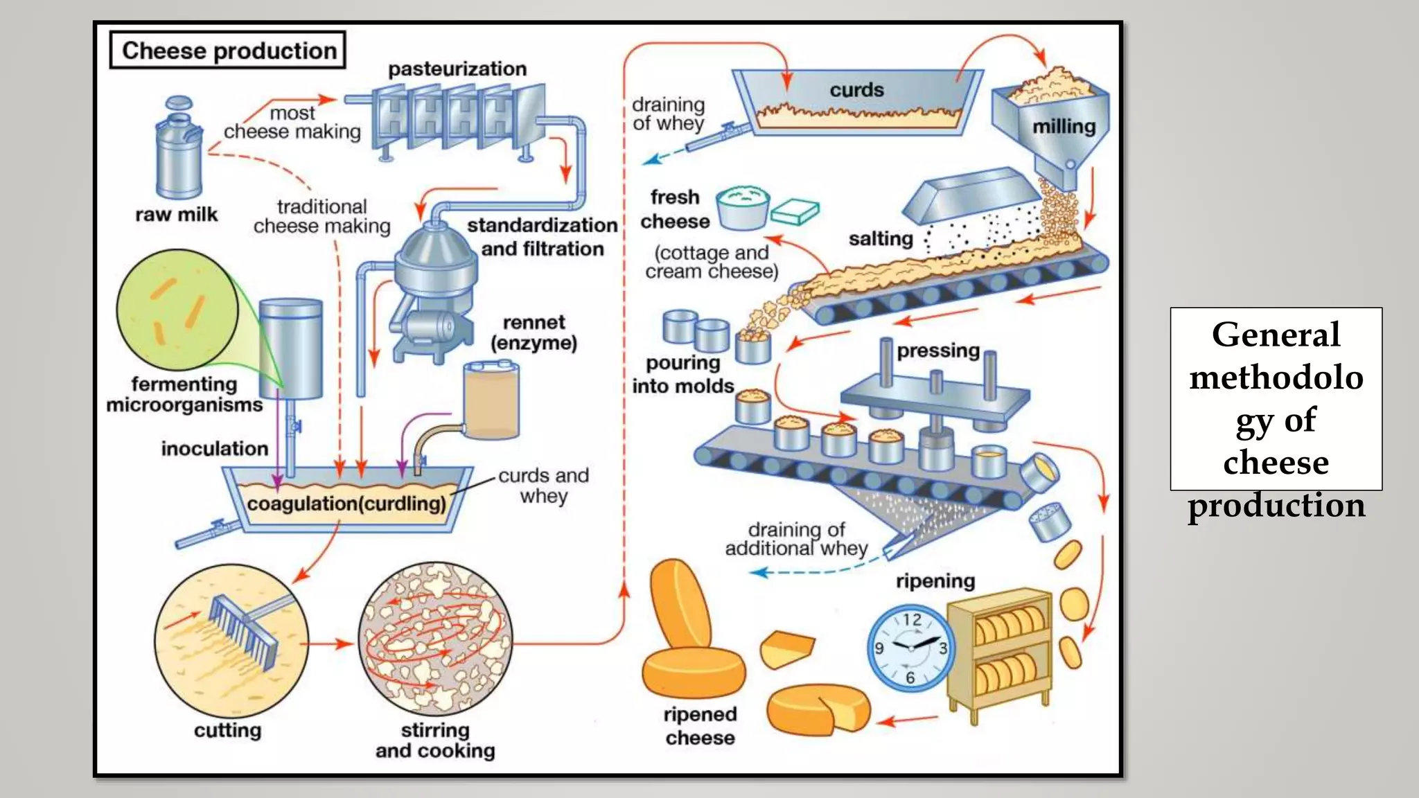 Cheese Production Process | PPTX