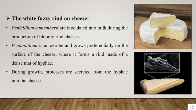 Cheese Production Process | PPTX