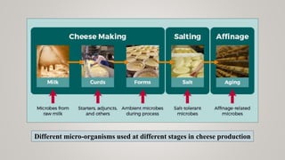 Cheese Production Process | PPTX