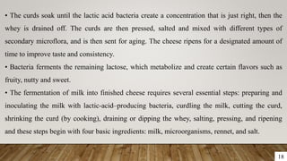 Cheese Production Process | PPTX
