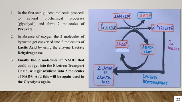 Cheese Production Process | PPTX