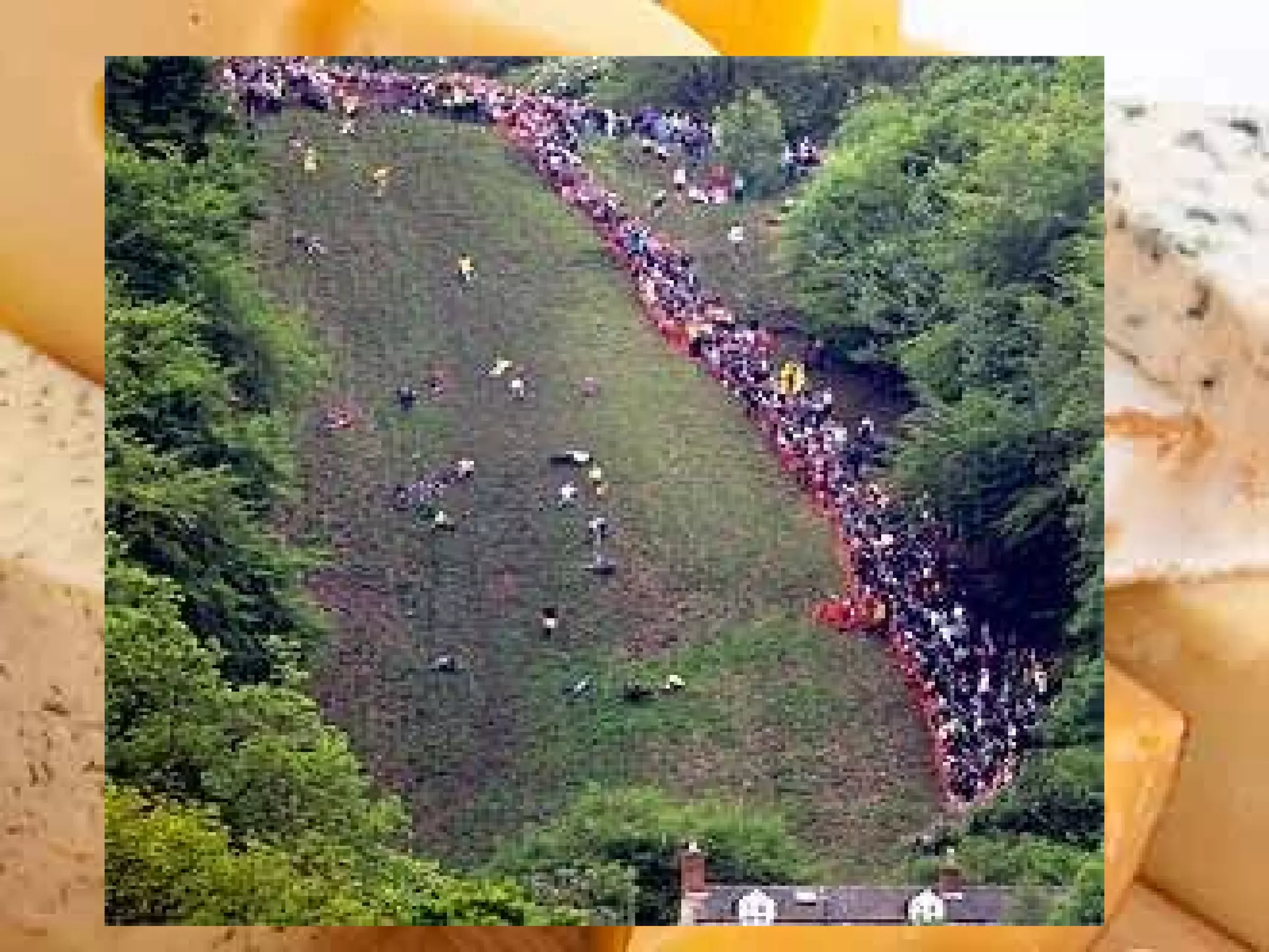 Cheese rolling | PPT