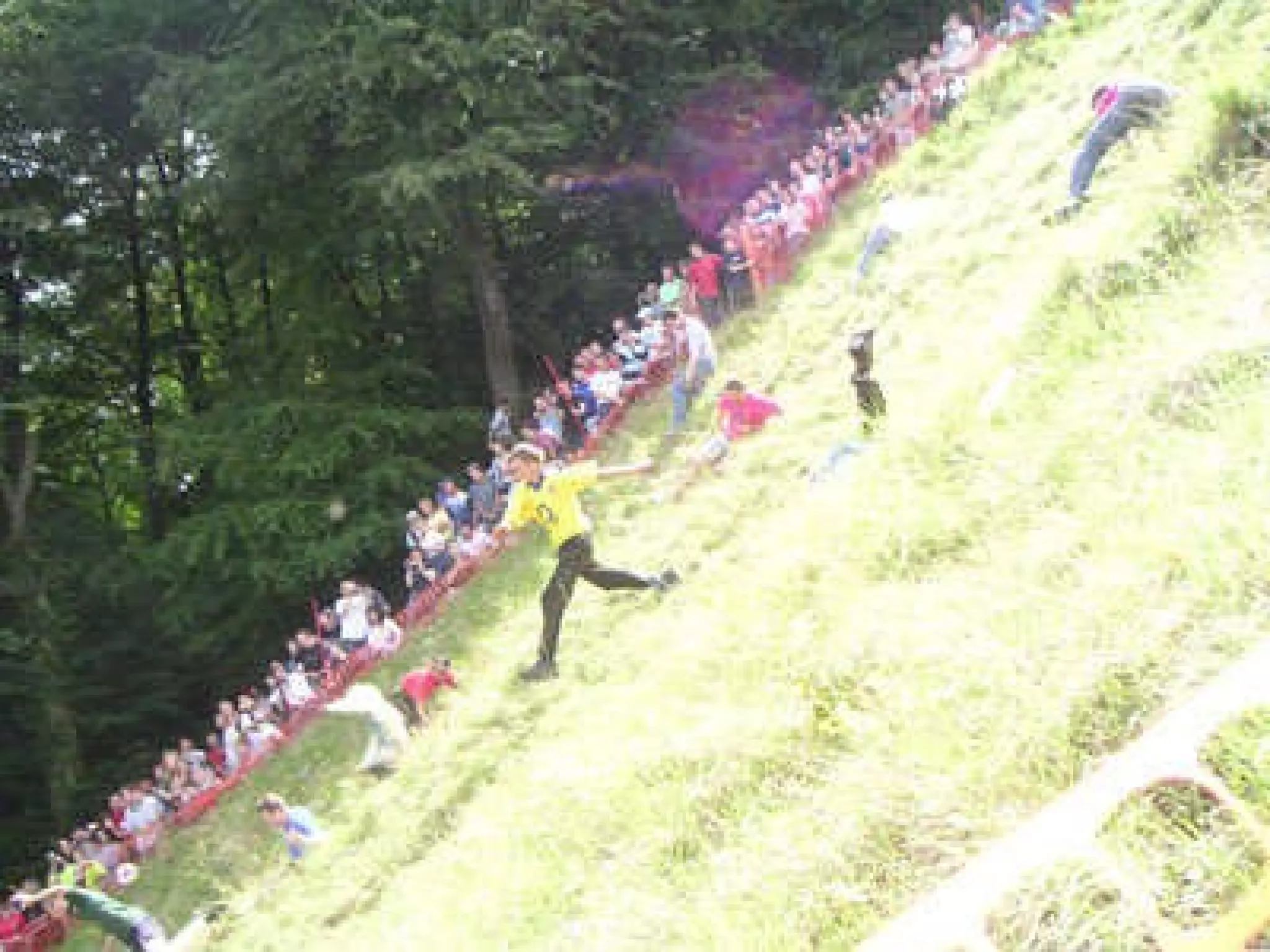 Cheese rolling | PPT