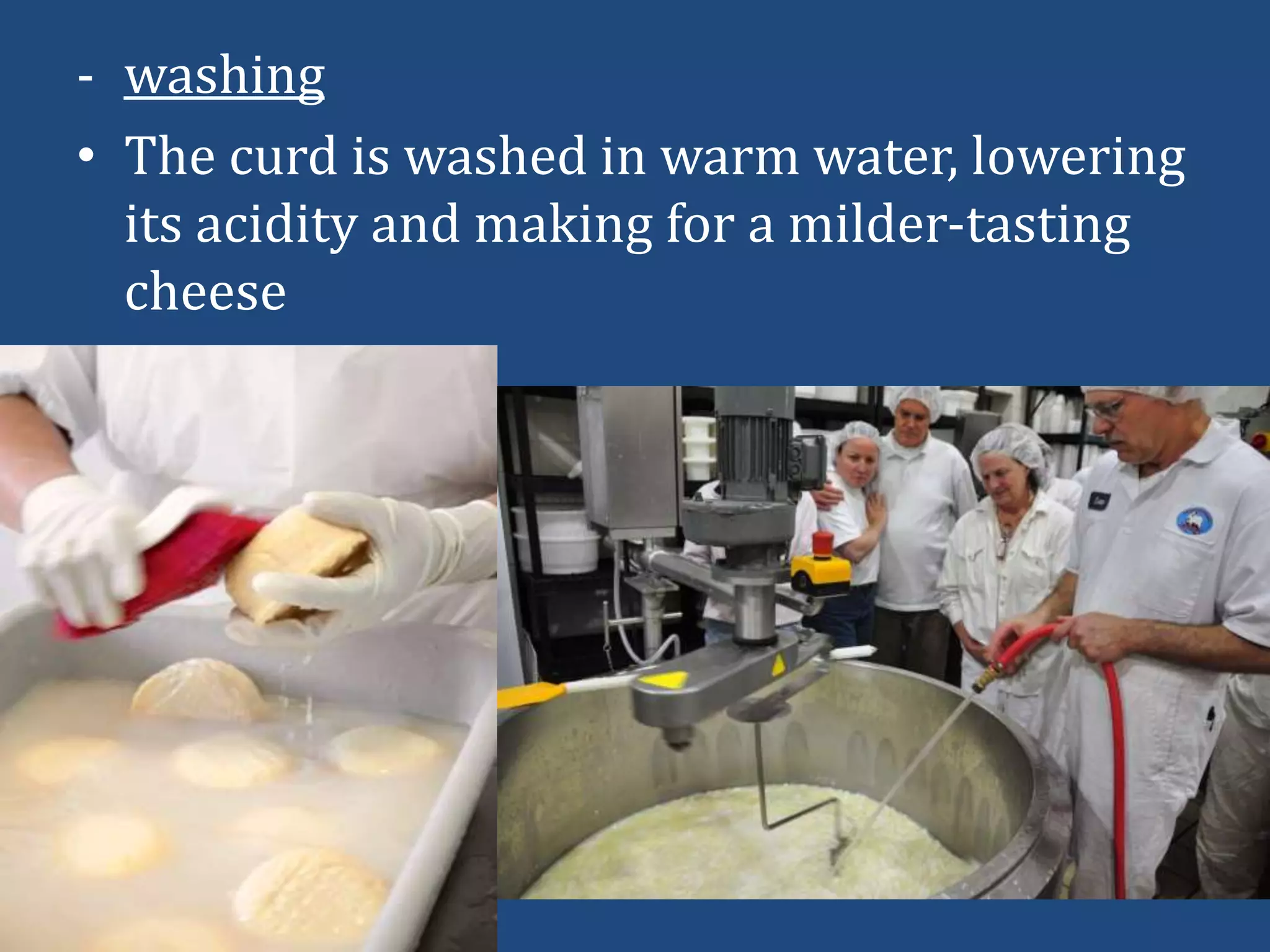 Cheese Technology | PPTX