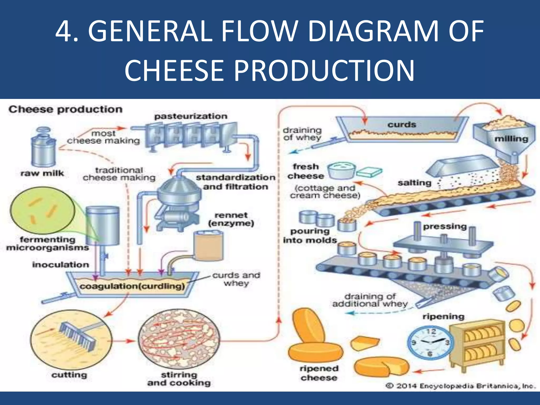 Cheese Technology | PPTX