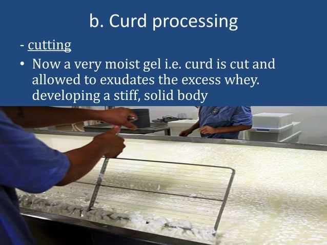 Cheese Technology | PPTX