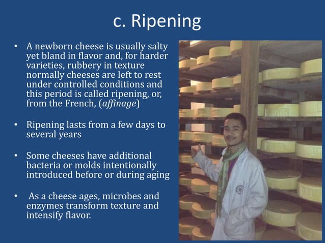 Cheese Technology | PPTX