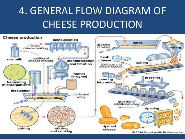 Cheese Technology