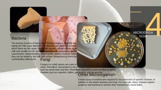 Cheese processing | PPT