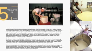 Cheese processing | PPT
