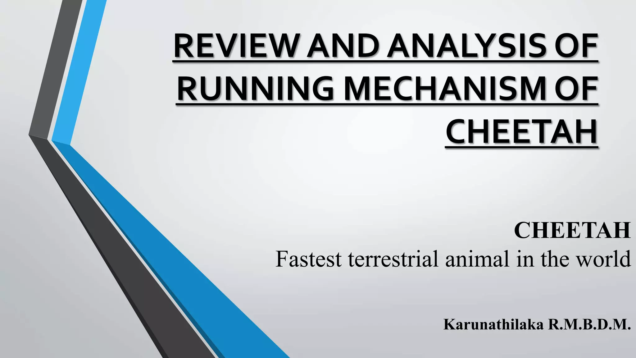 Review and analysis of running mechanism of cheetah | PPTX