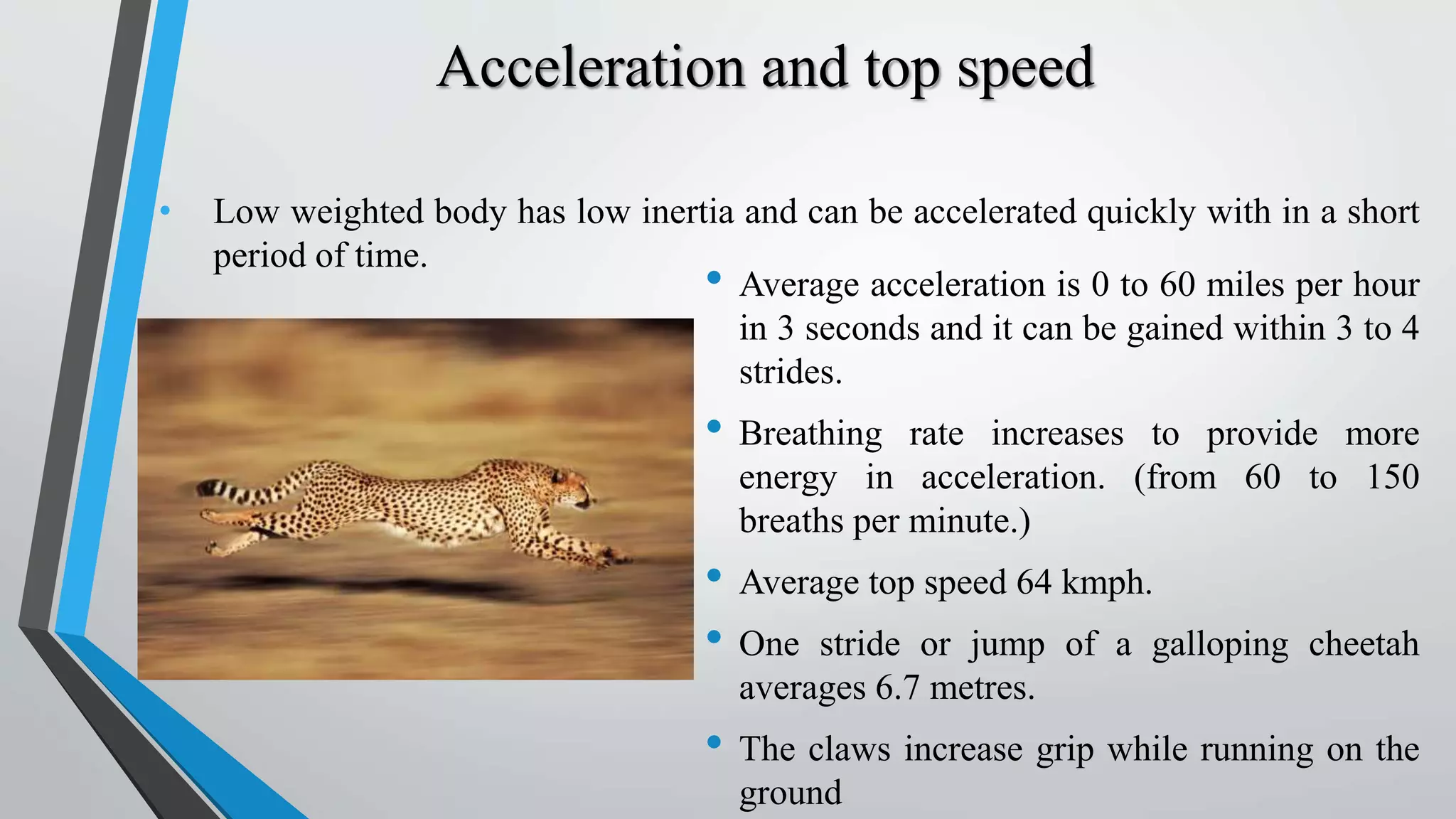 Review and analysis of running mechanism of cheetah | PPTX