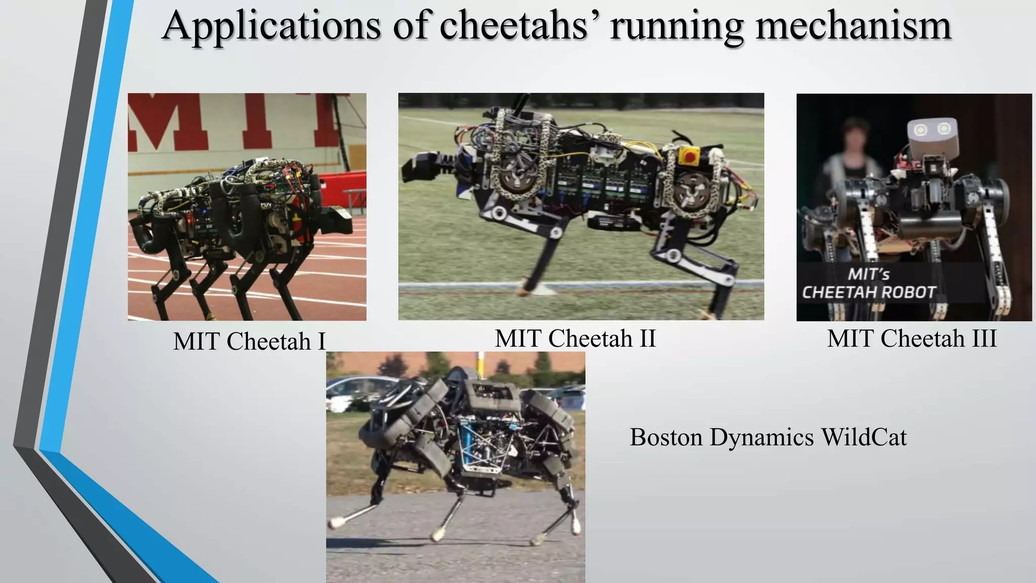 Review and analysis of running mechanism of cheetah | PPTX