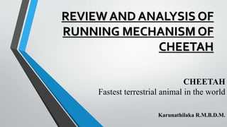 Review and analysis of running mechanism of cheetah | PPTX
