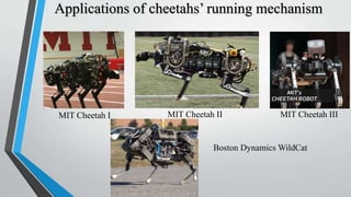 Review and analysis of running mechanism of cheetah | PPT