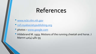 Review and analysis of running mechanism of cheetah | PPTX