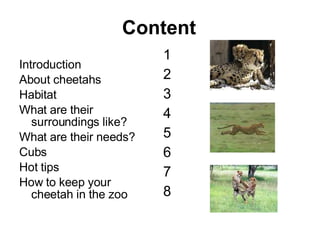 Cheetah Group | PPT
