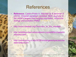 Cheetah (genetic diversity) | PPT