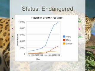 Cheetah (genetic diversity) | PPT