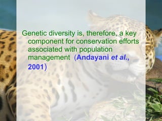 Red Cheetah Mutation