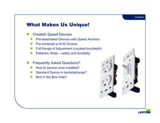 Cheetah Power Point | PDF