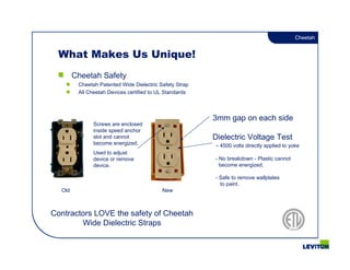 Cheetah Power Point | PDF