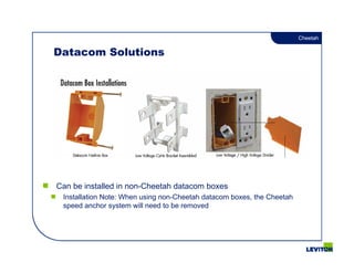 Cheetah Power Point | PDF