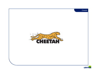 Cheetah Power Point | PDF