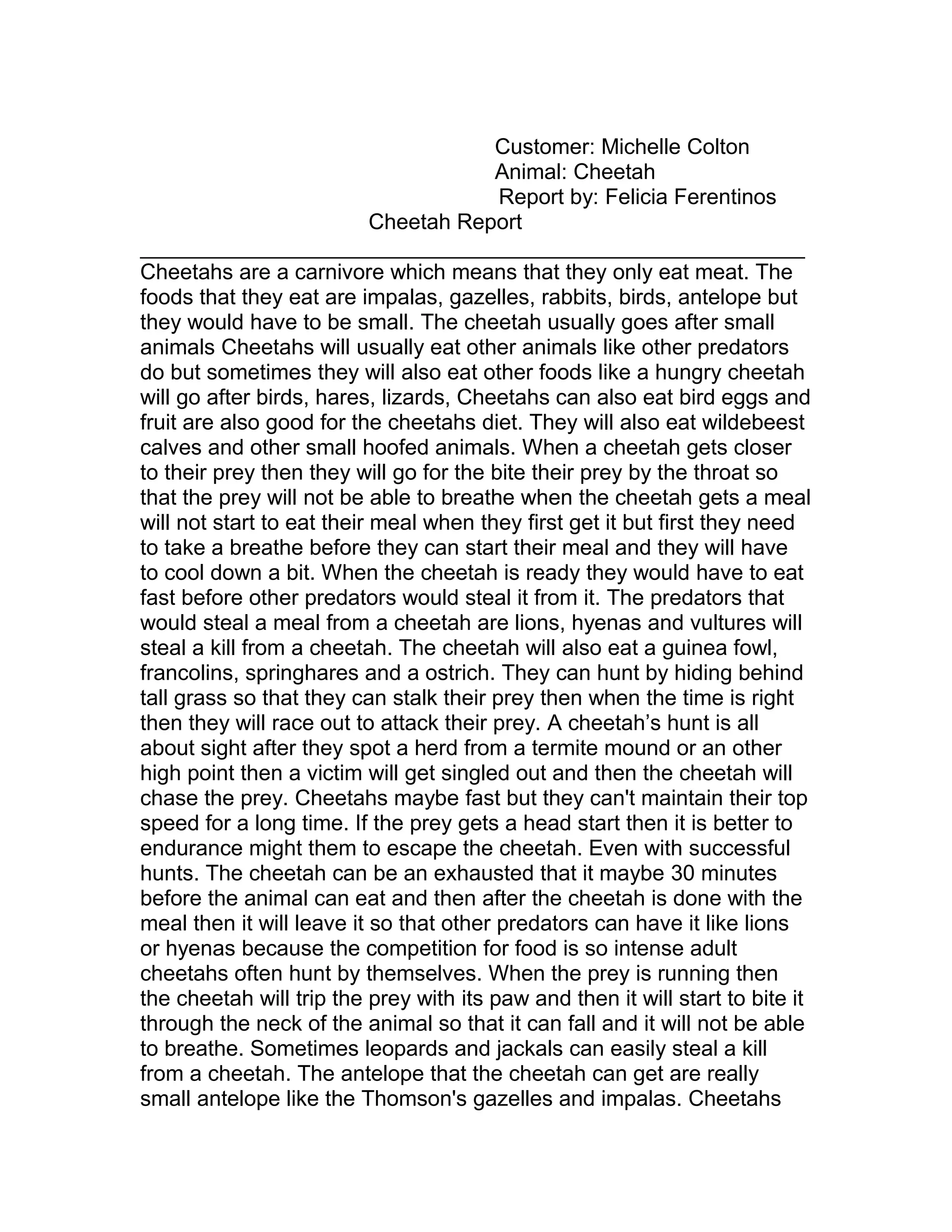 Cheetah report for amanda j | DOC