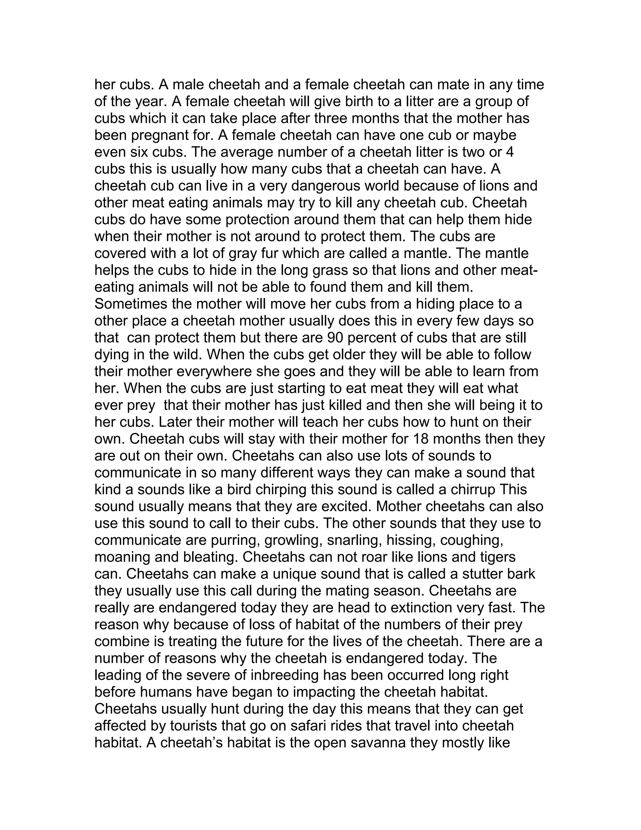 Cheetah report for amanda j | DOC