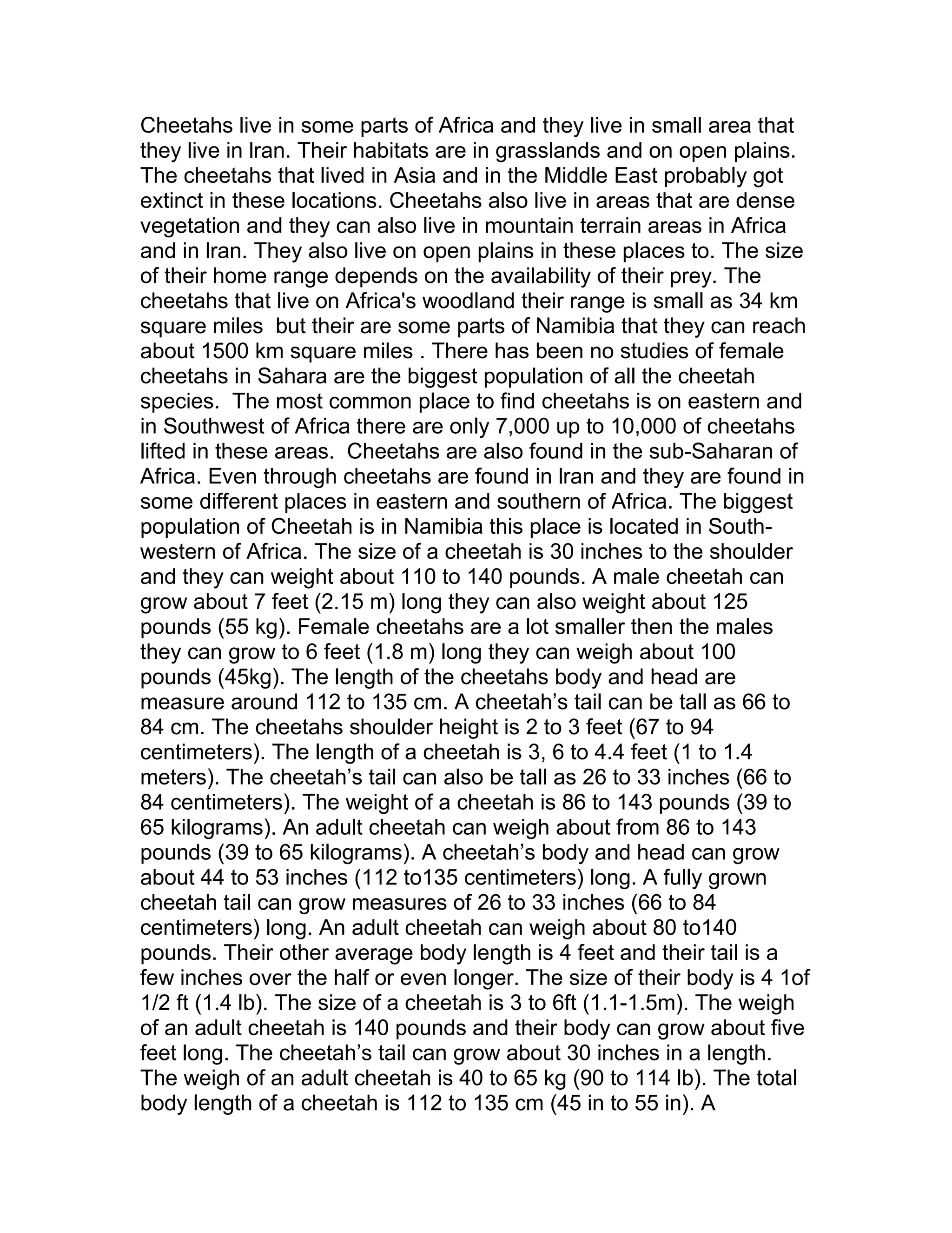 Cheetah report for amanda j | DOC