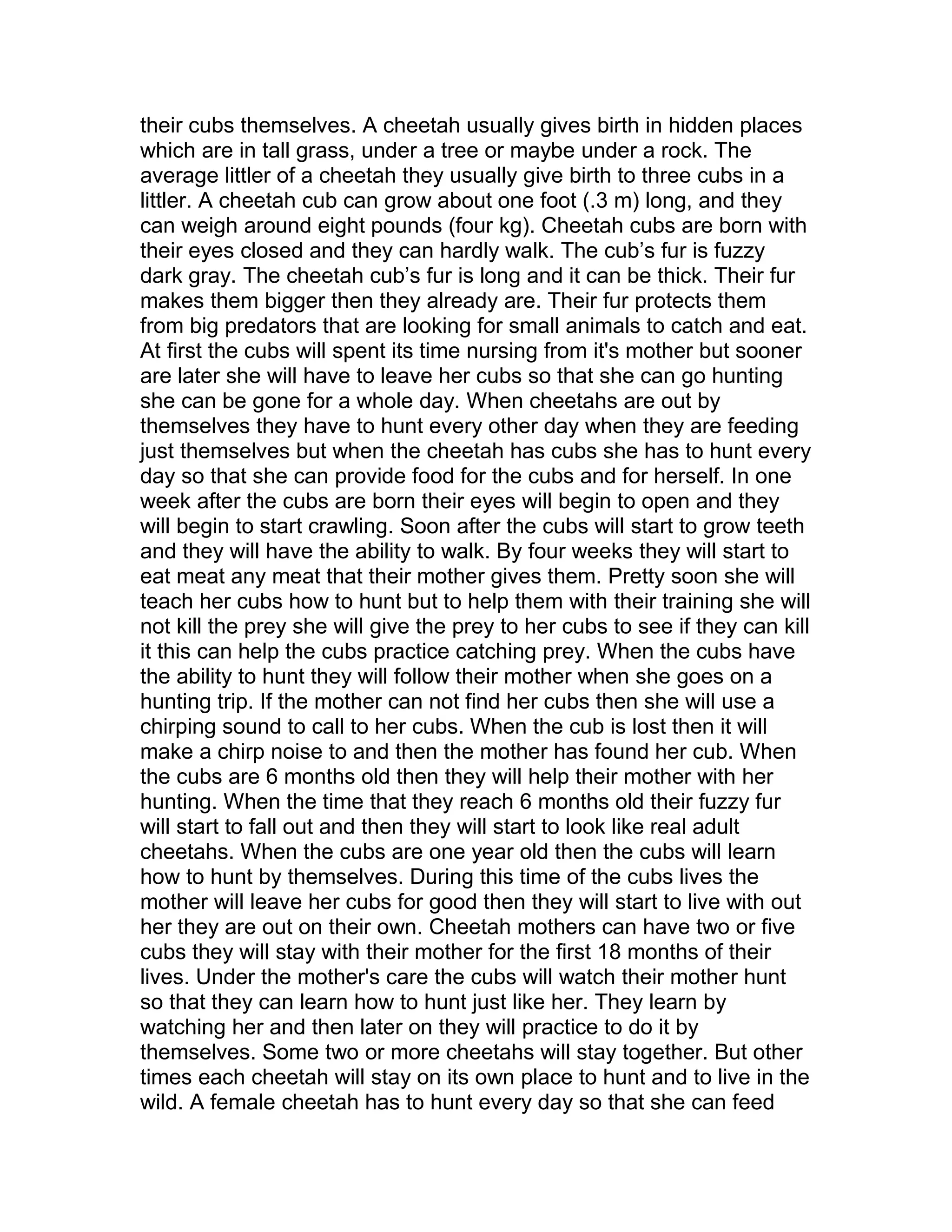 Cheetah report for amanda j | DOC