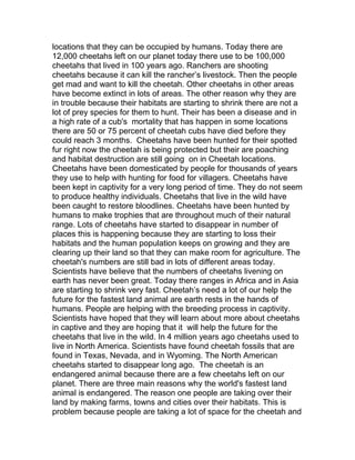 Cheetah report for amanda j | DOC