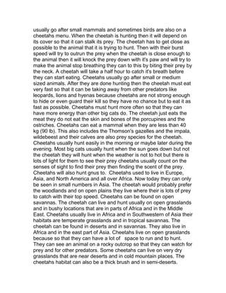 Cheetah report for amanda j | DOC | Zoos & Aquariums | Attractions