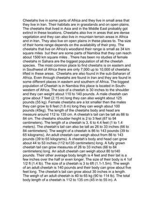 Cheetah report for amanda j | DOC | Zoos & Aquariums | Attractions