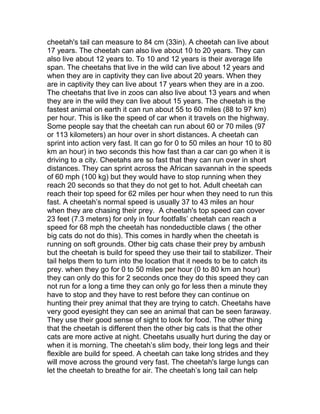 Cheetah report for amanda j | DOC