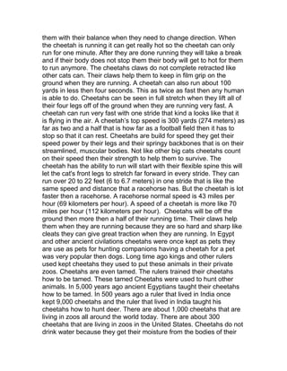 Cheetah report for amanda j | DOC