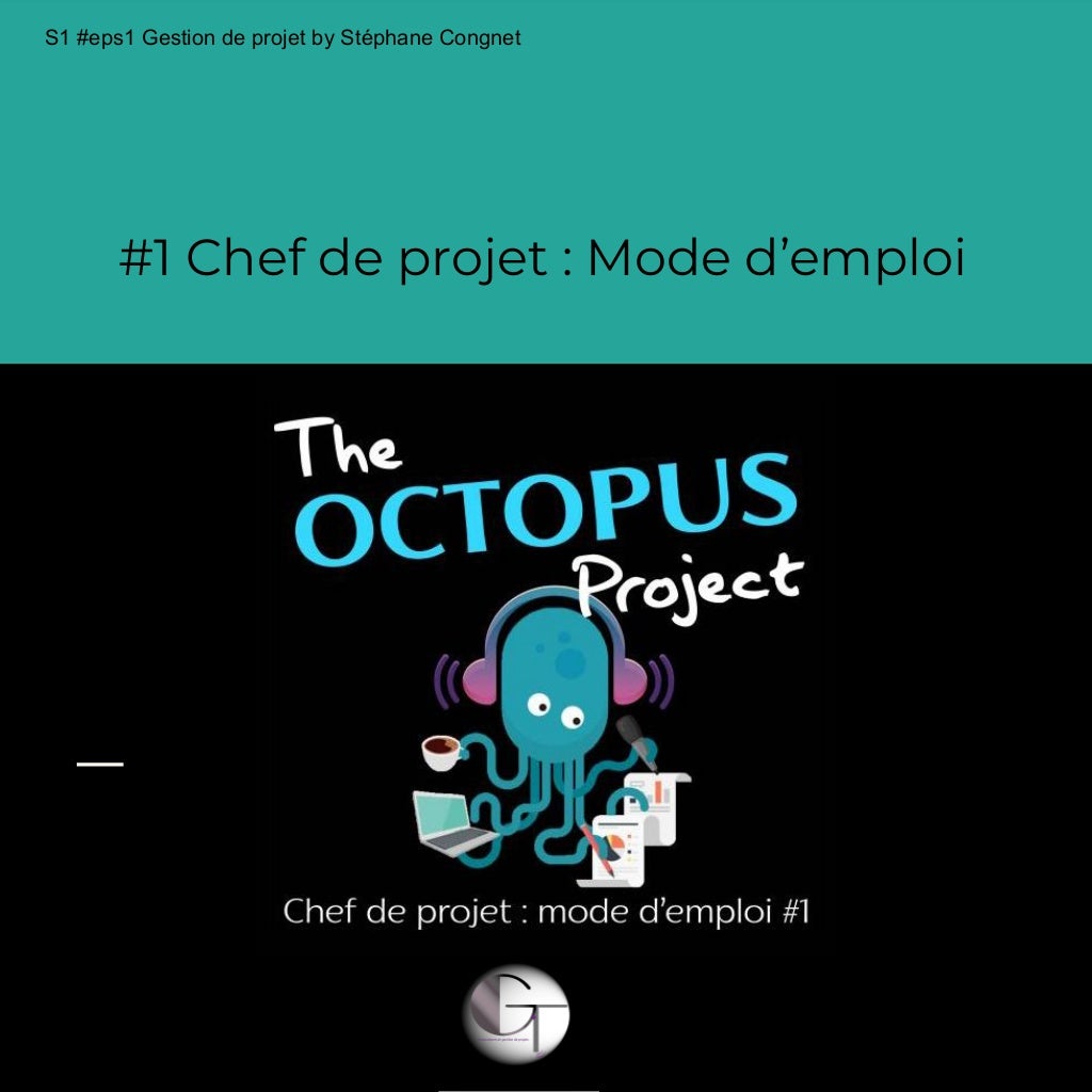 Chef de projet son rôle .pdf