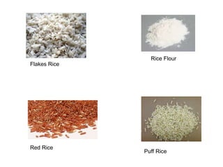 Rice | PPTX