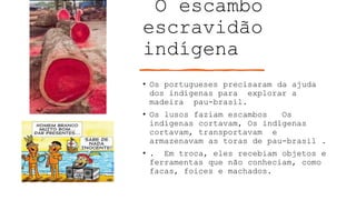 Chegada dos portugueses na América o descobrimento do Brasil ica.pptx