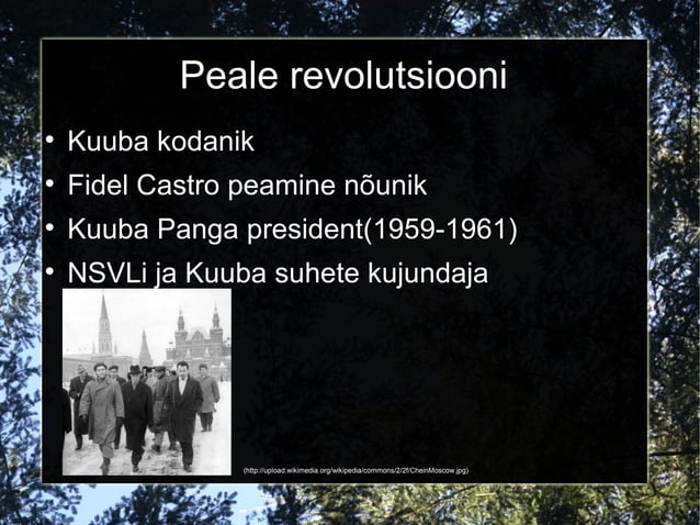 Che Guevara | PPT